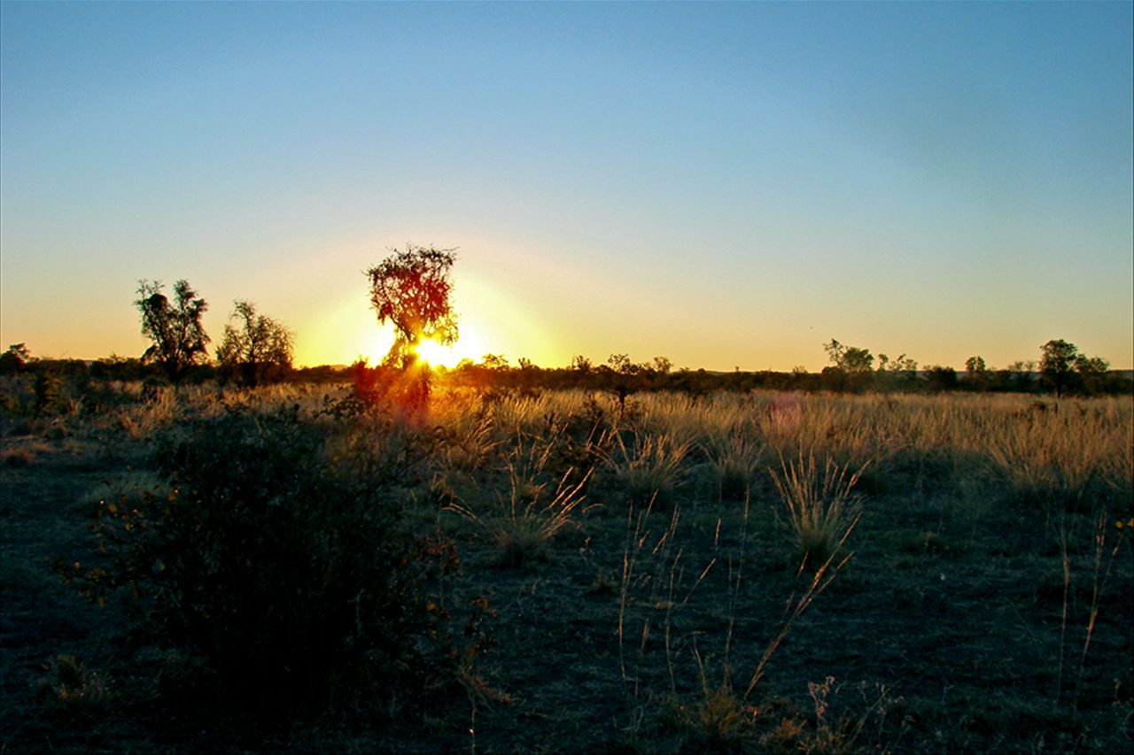 Victoria River Research Station celebrates half century of agricultural ...
