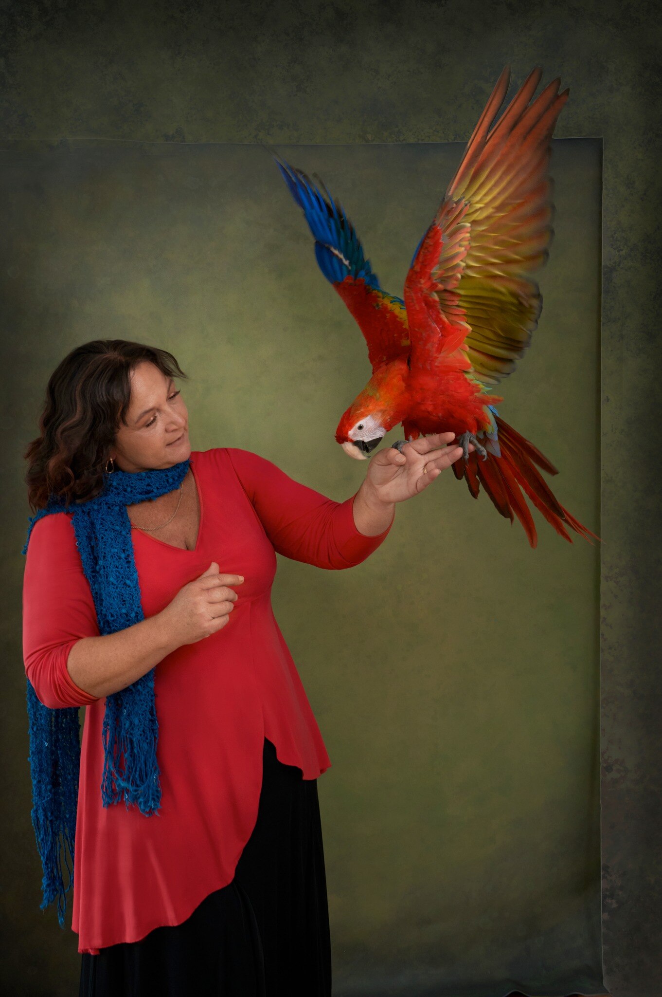 The joy of a free-flying parrot - ABC listen