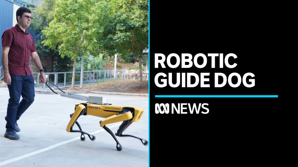 Student makes robotic guide dog - ABC News