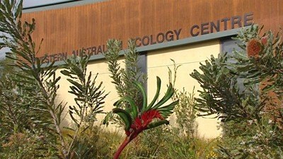 Spring Natives - Gardening Australia