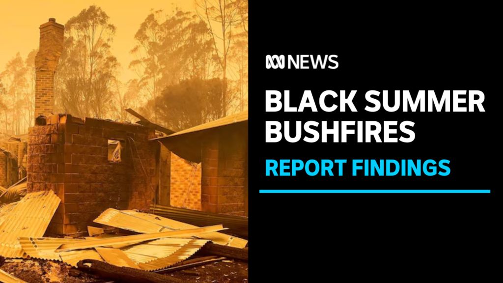 Report into the Black Summer Bushfires released - ABC News