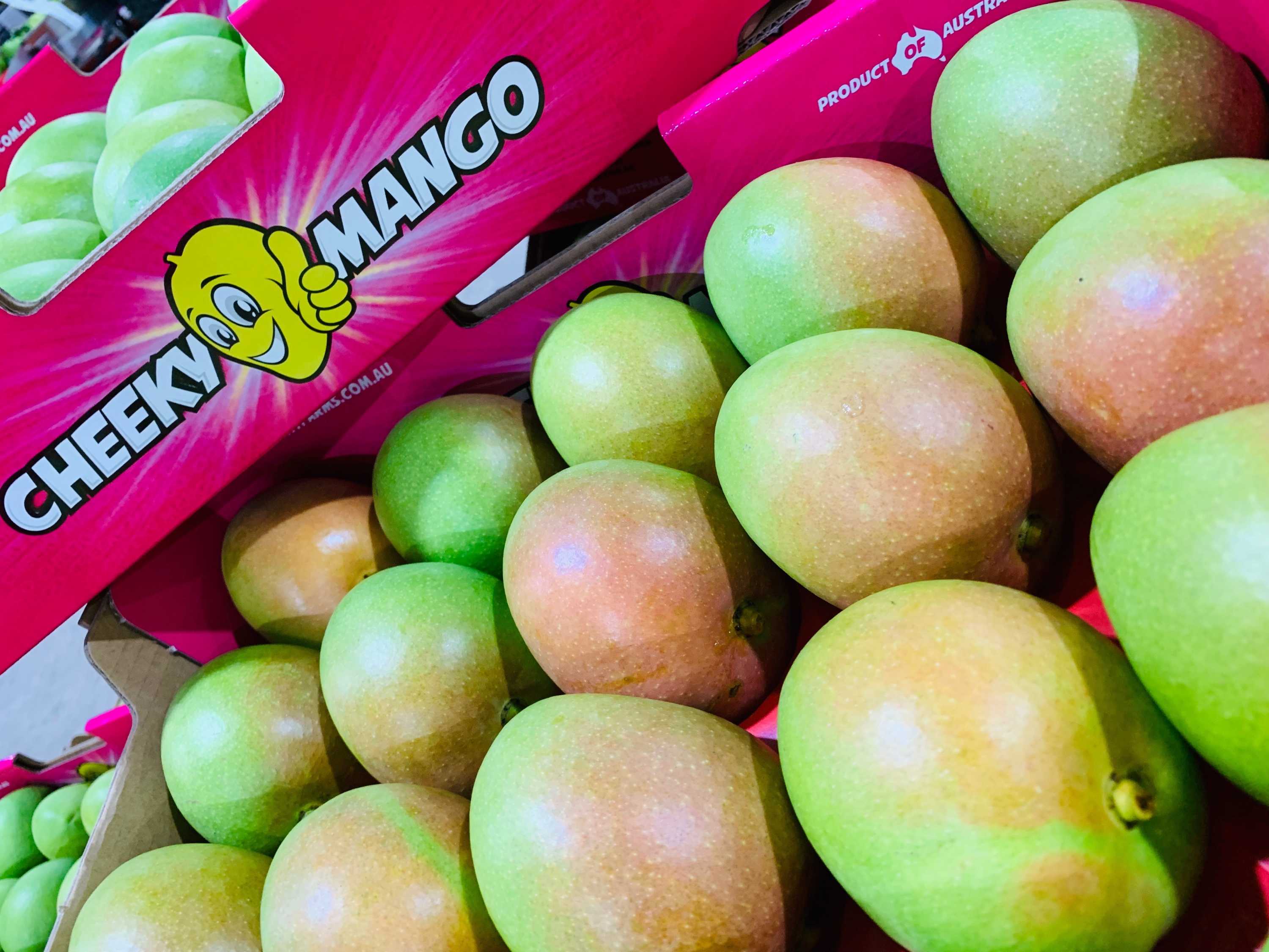 Mango season heating up in the Northern Territory as industry continues ...