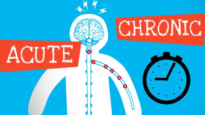 Toad Training - Behind The News