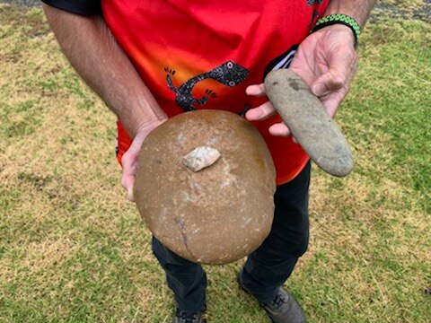 Solar farm developer METKA EGN fined $1,500 for destroying hundreds of ...