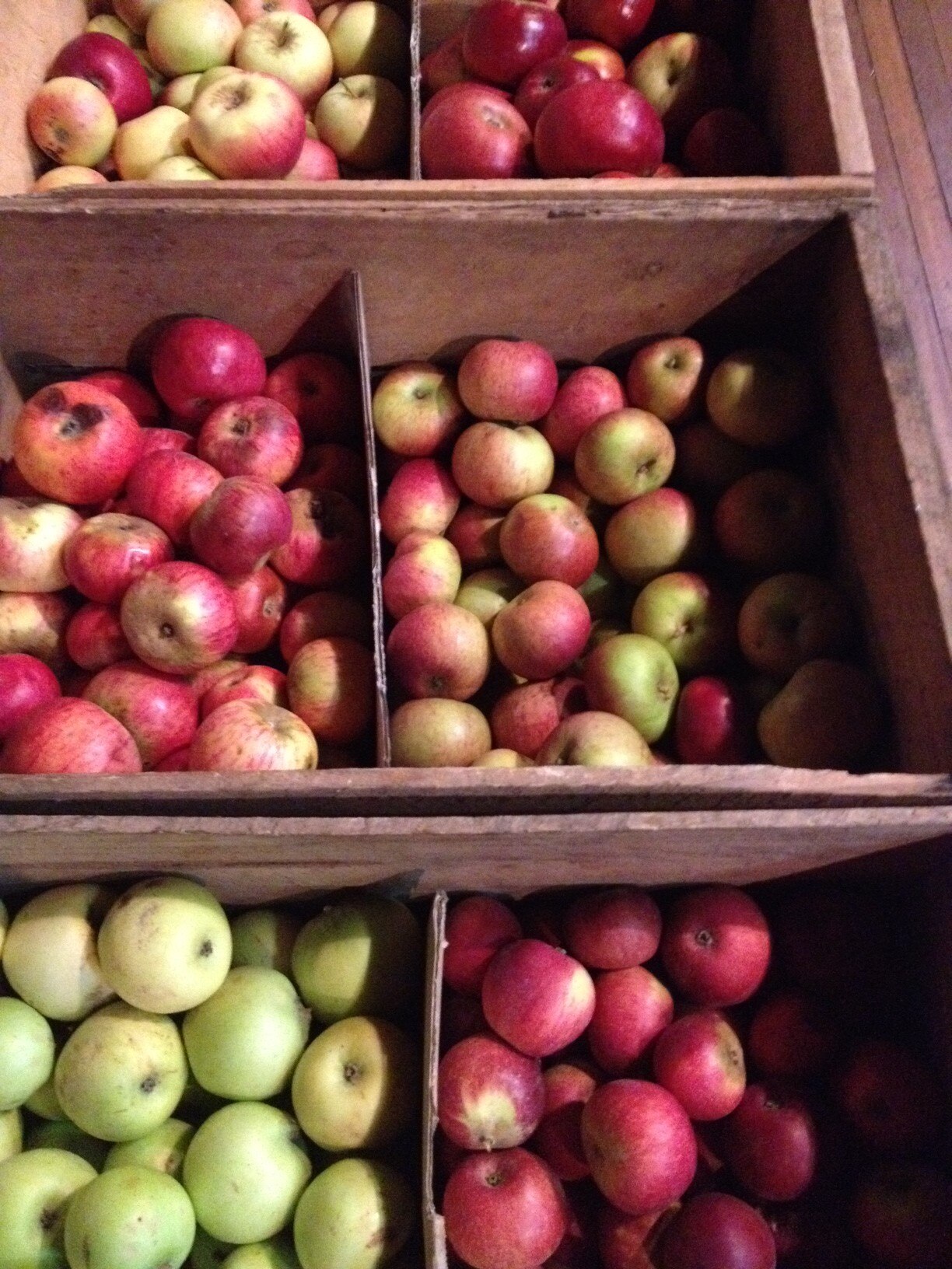 Cider consumption doubles in five years - ABC News