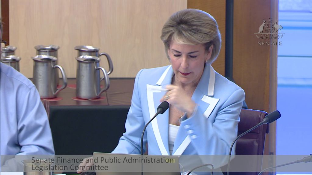 Questions over accidental caretaker mode social media post - ABC News