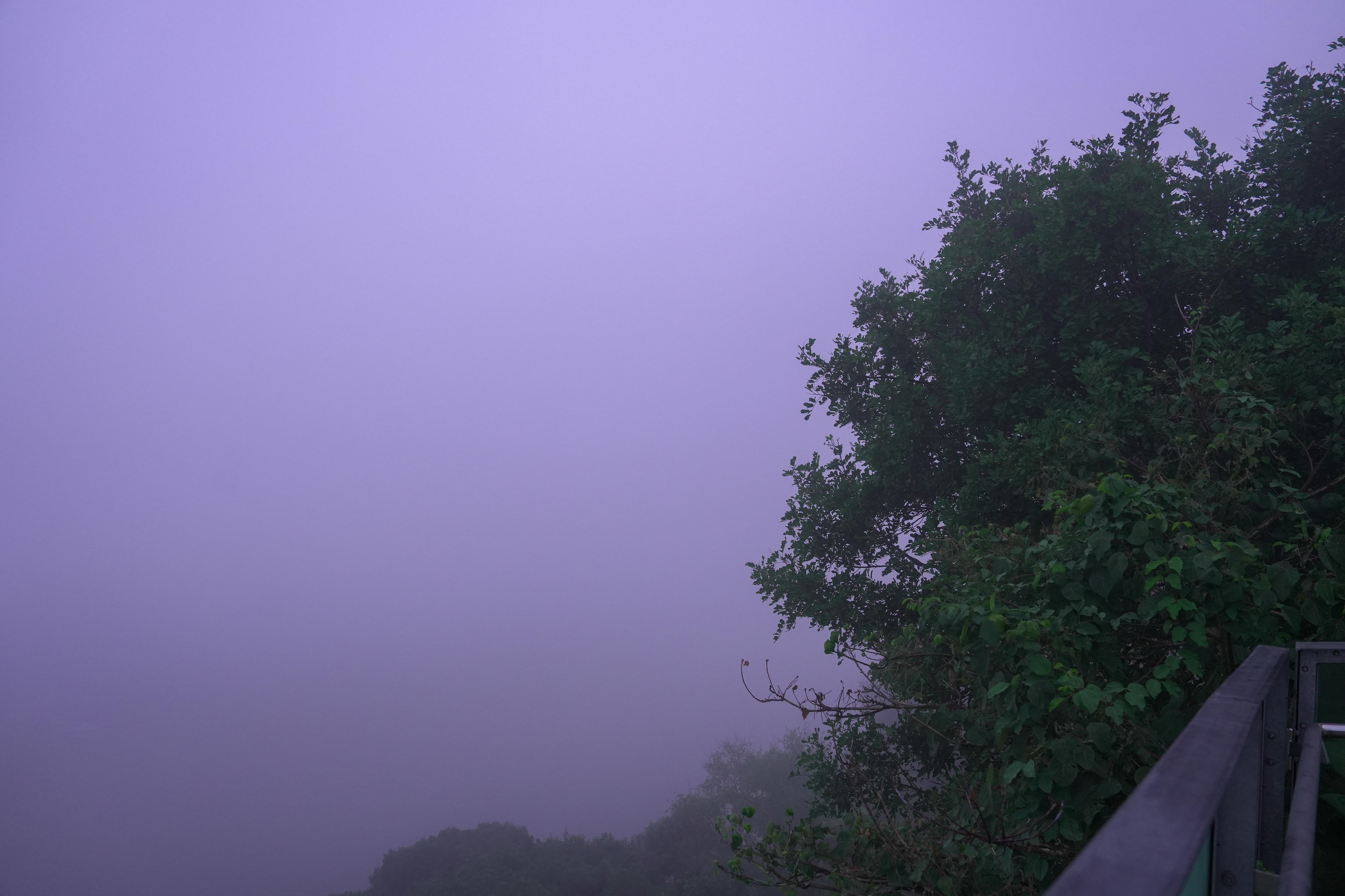 Large parts of Queensland blanketed by fog, causing visibility issues ...