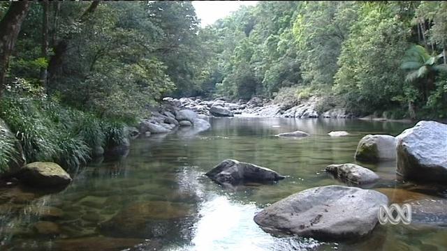 ABC News: Making a difference in the Daintree - ABC Education