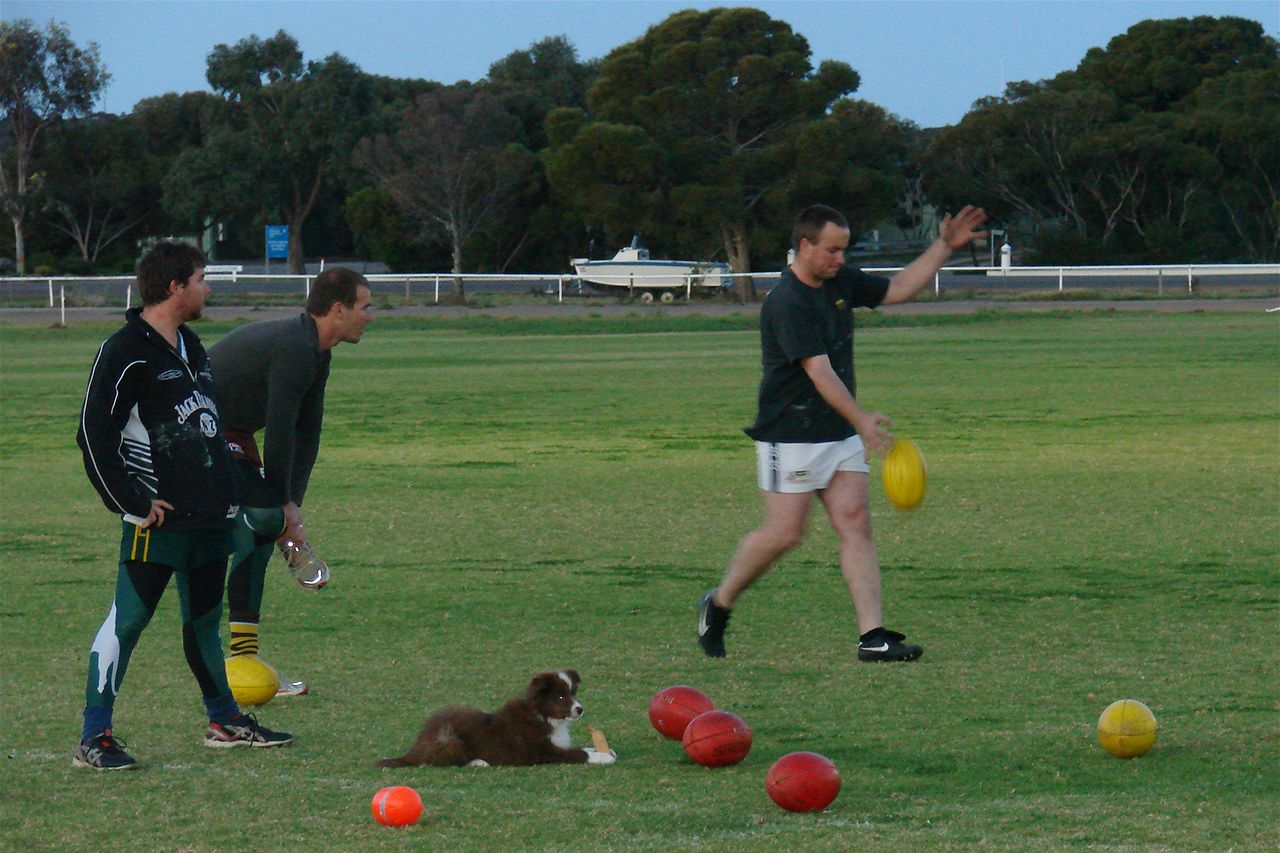Mining for footballers - ABC News