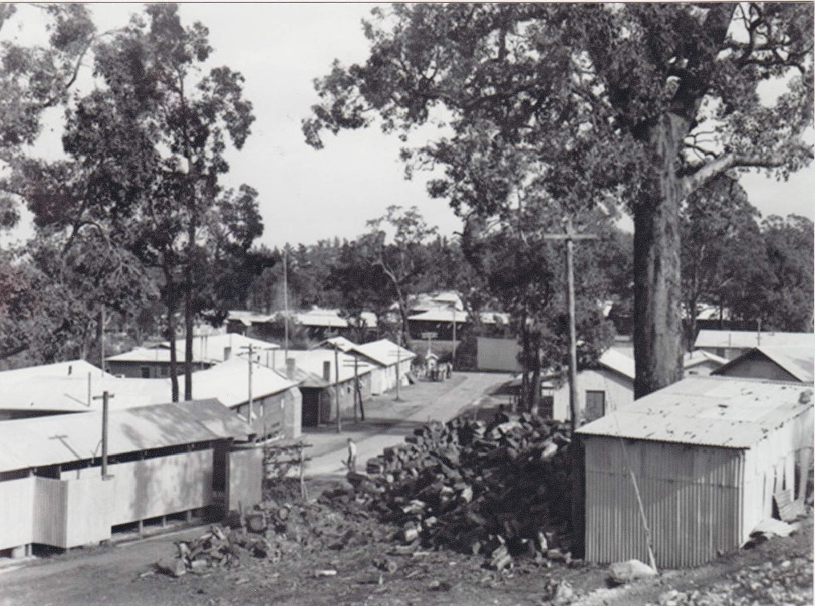 A Family's Escape - ABC listen