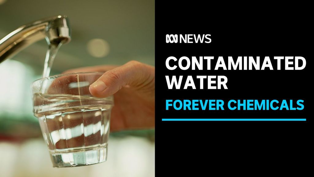 Forever chemicals detected in Sydney Water - ABC News