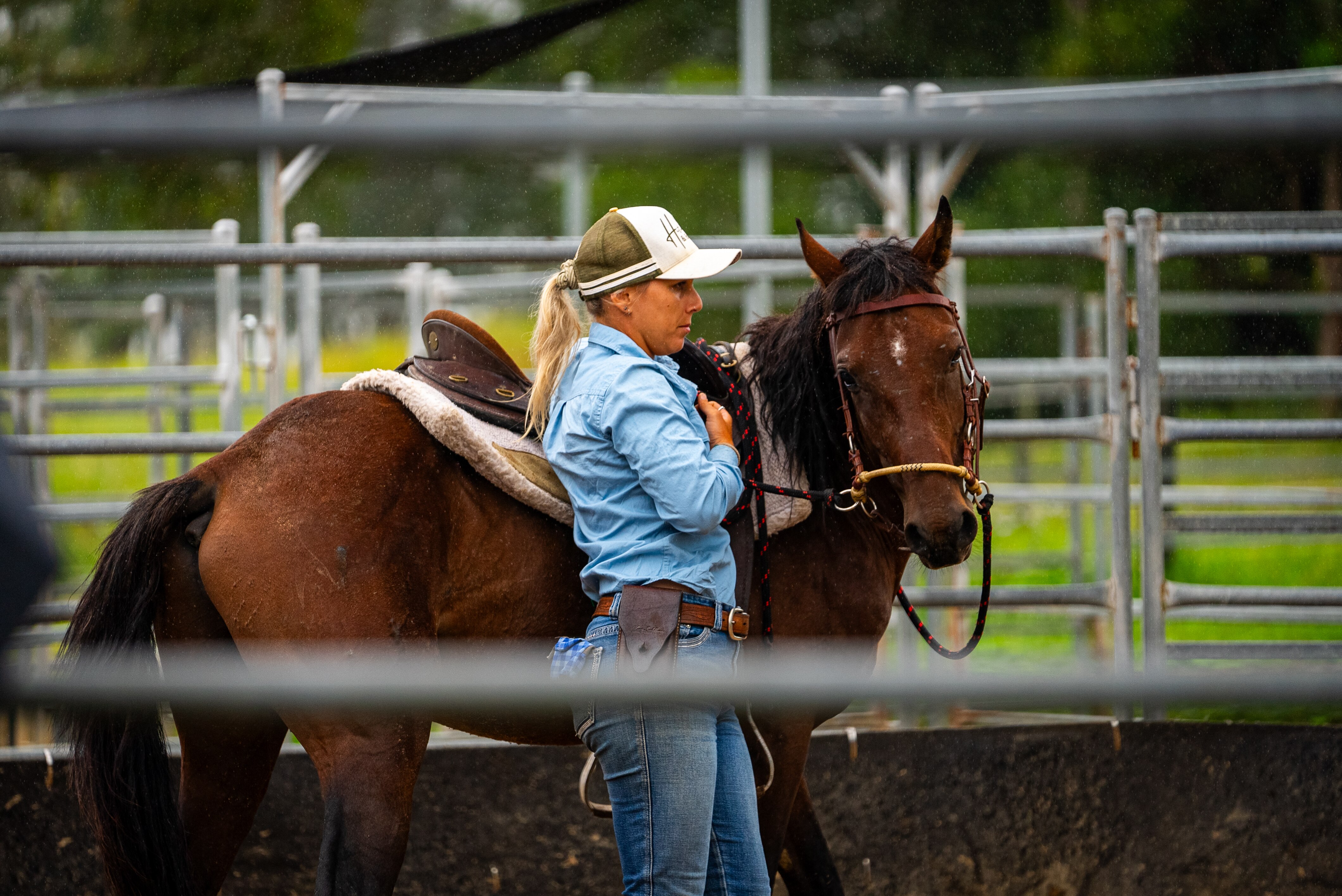 Rehoming wild horses won't solve the brumby problem, but it transforms ...