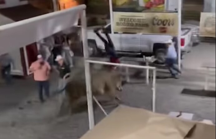 Three people injured at Oregon rodeo after bull called Party Bus ...