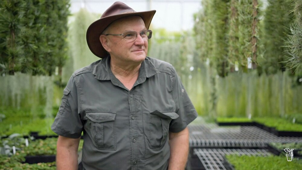 My Garden Path | Jeno Kapitany - Gardening Australia
