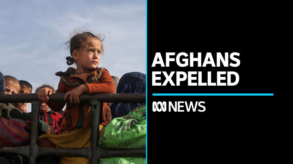 Sunday October 29 Full Program - ABC News