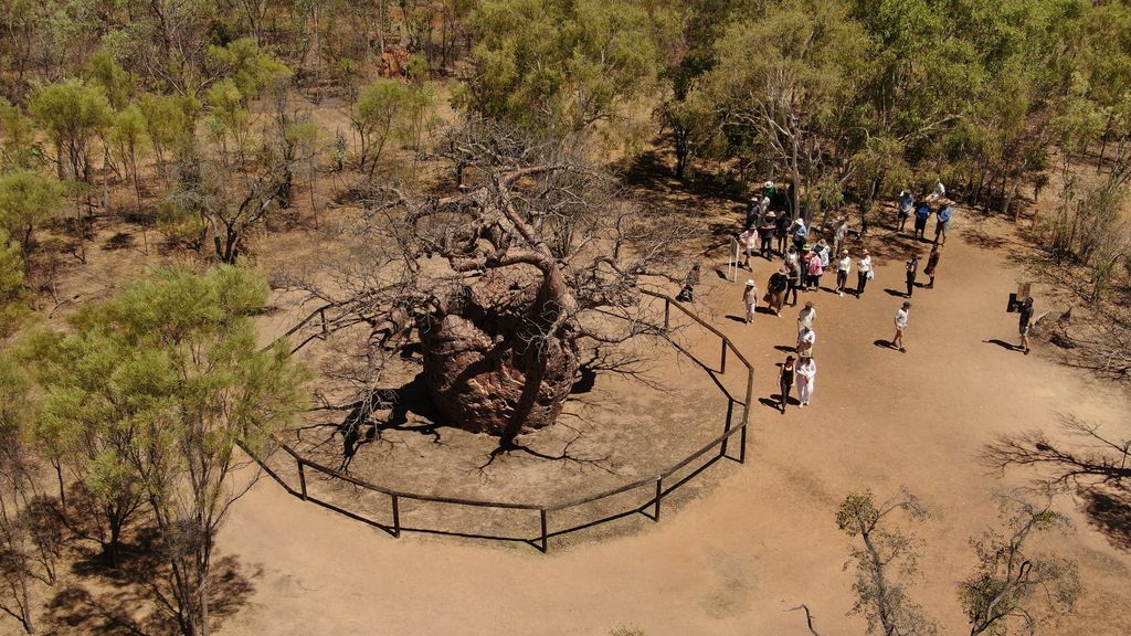 Judges head bush - ABC News