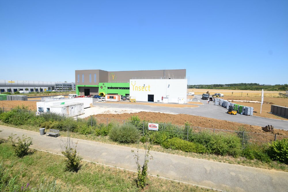 French company Ynsect keen to replace fish and pet foods with crushed ...