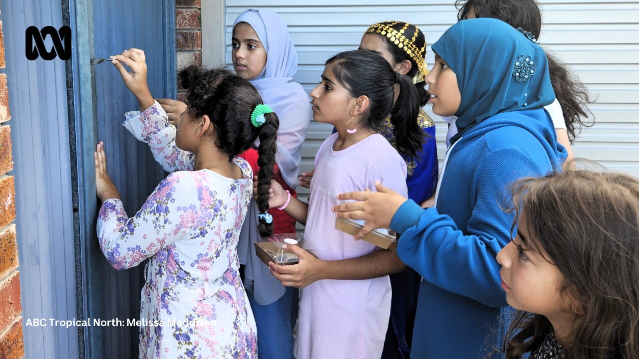 Kids knocking on doors with dates - ABC listen