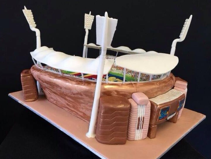 Adelaide Oval cake created for Crows fan's 50th birthday celebration ...