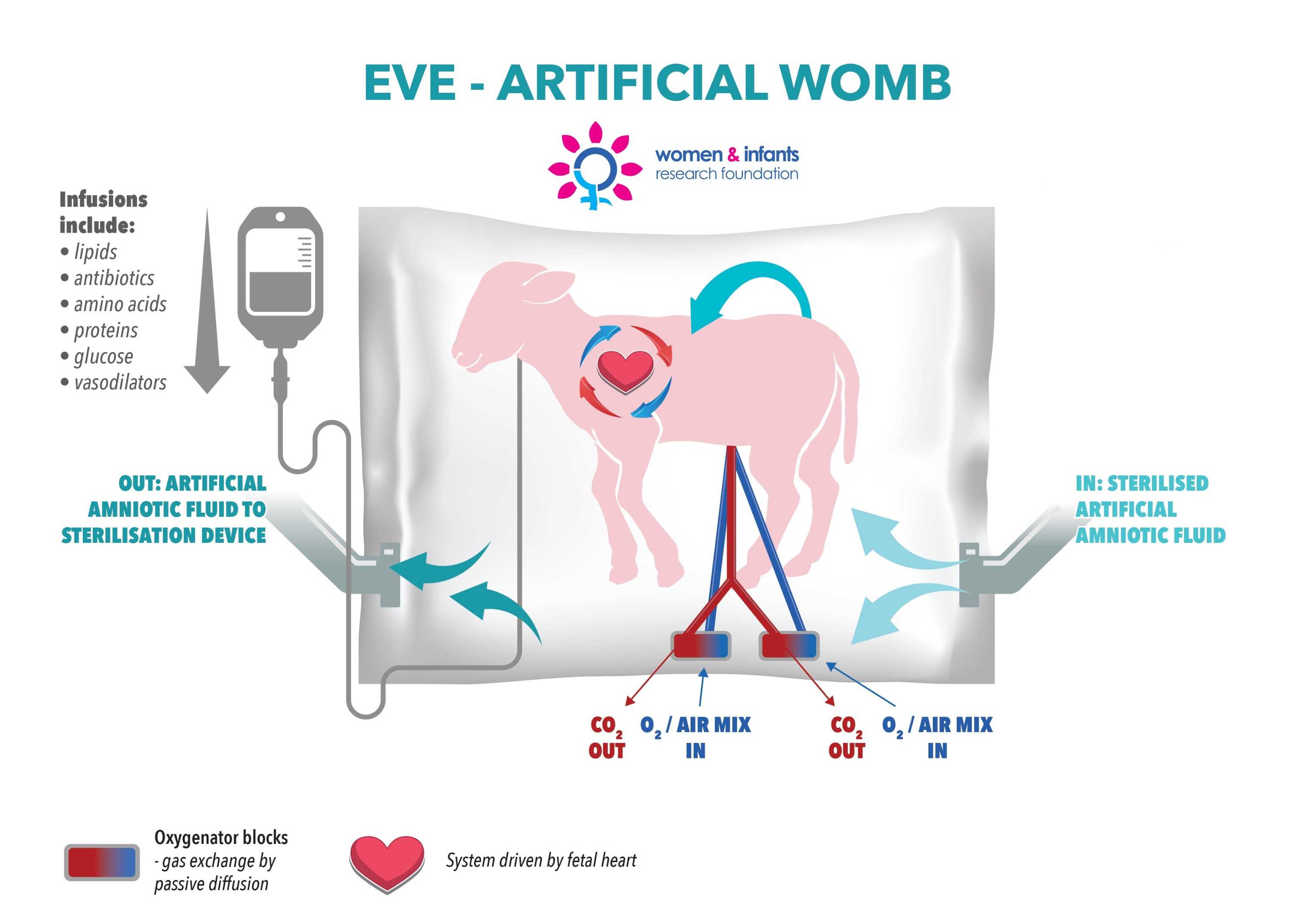 The wild science of artificial wombs and 3D printed ovaries. Future ...