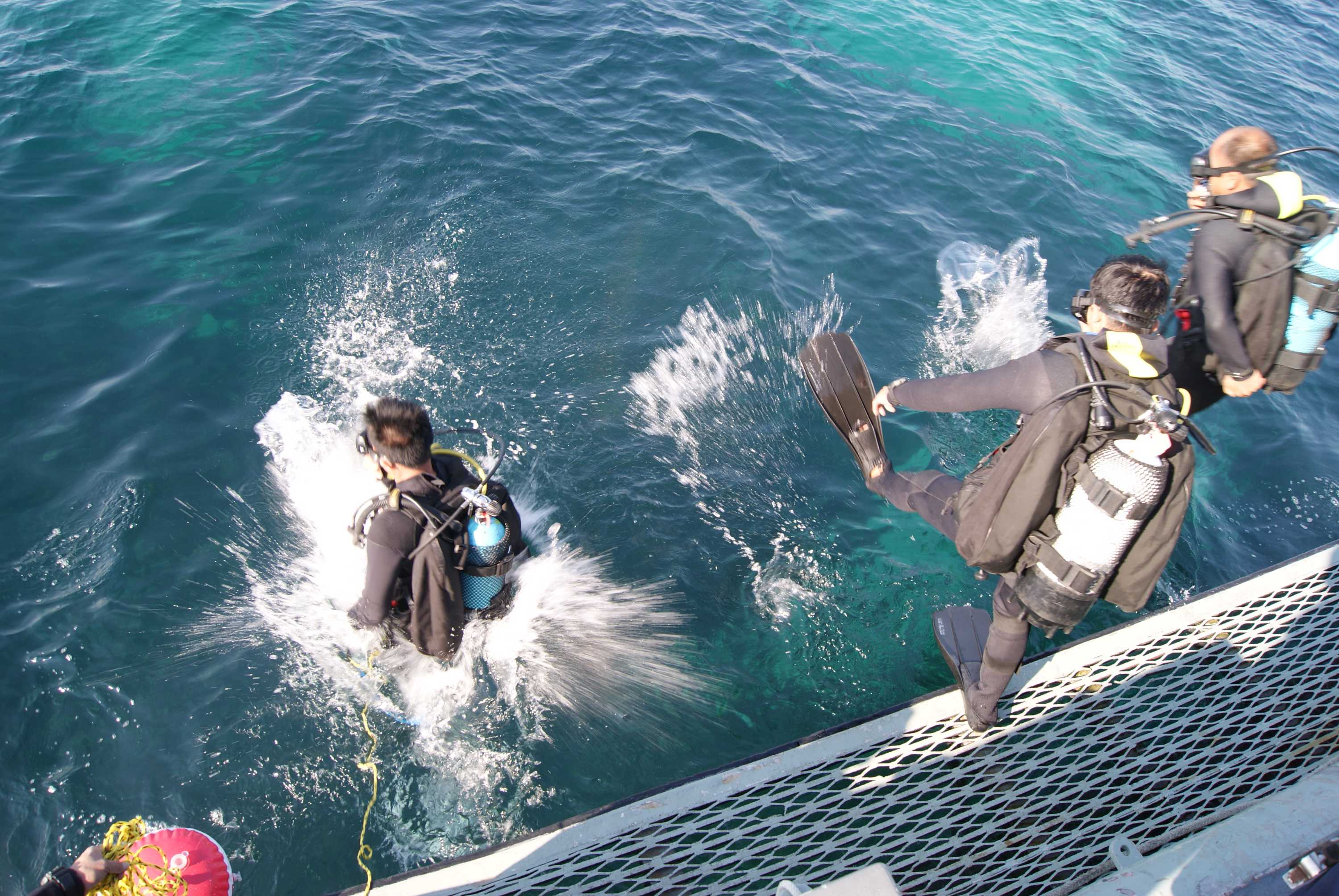 Mine warfare navy clearance dive teams from across the world unite in ...