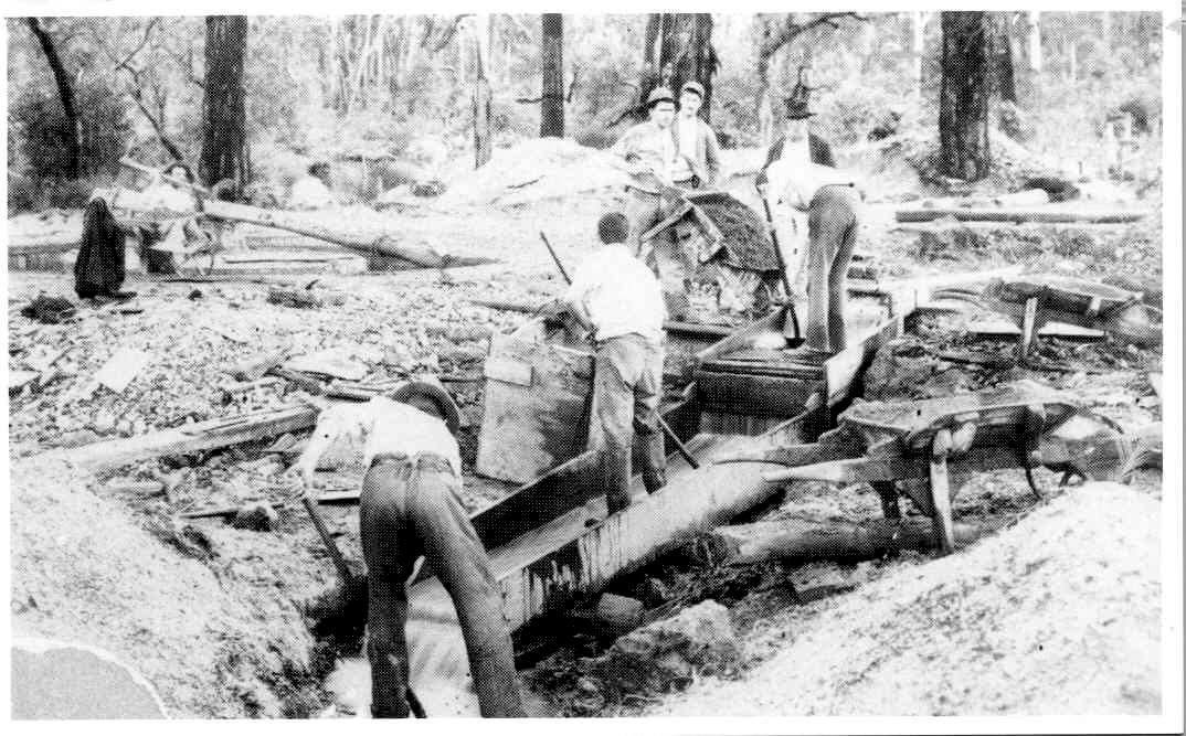 Conservation group helping nature reclaim WA's oldest mine site at ...