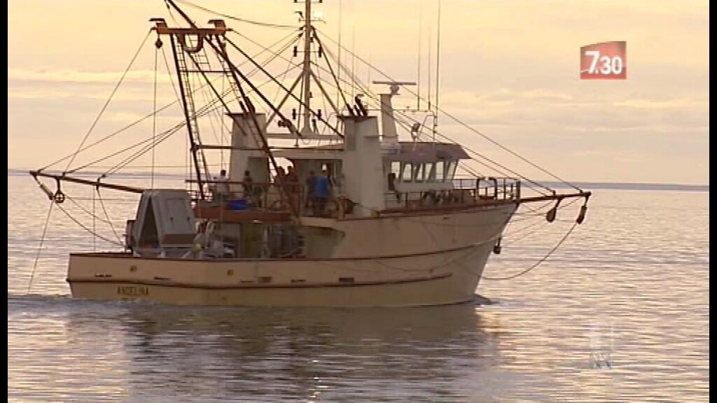 Prawn trawlers certified - ABC News