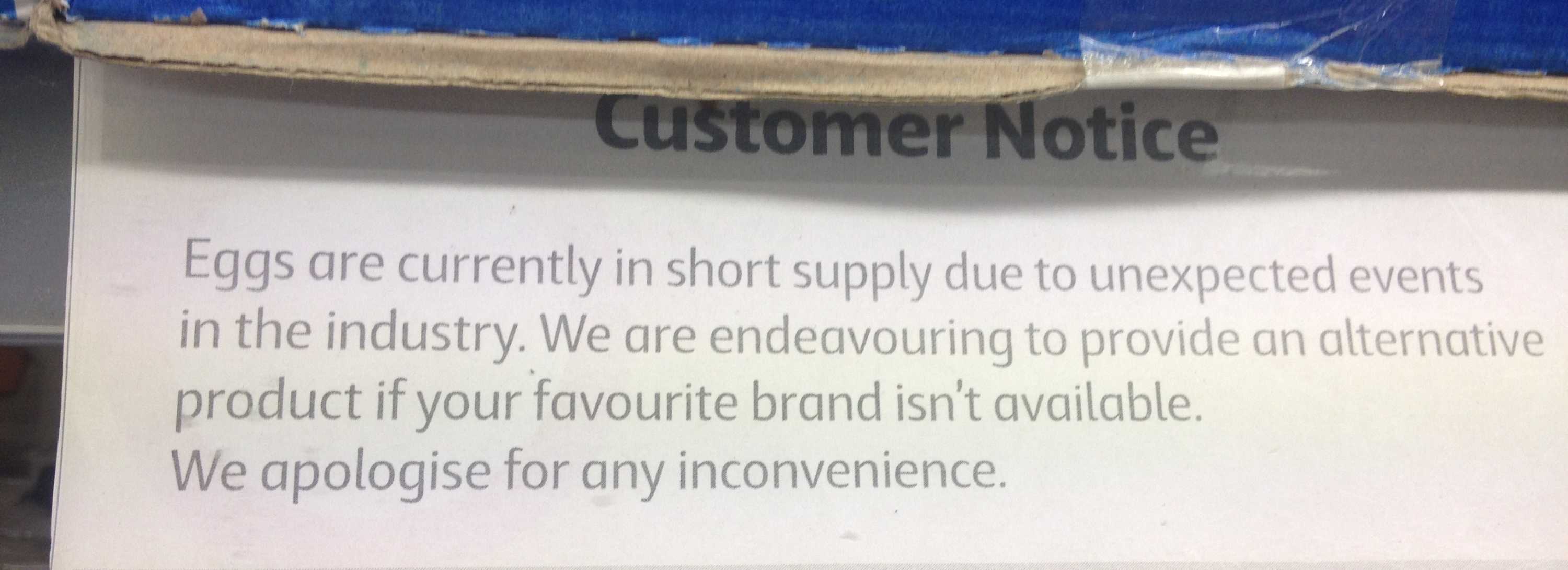 Egg shortage leaves NT shelves short - ABC News