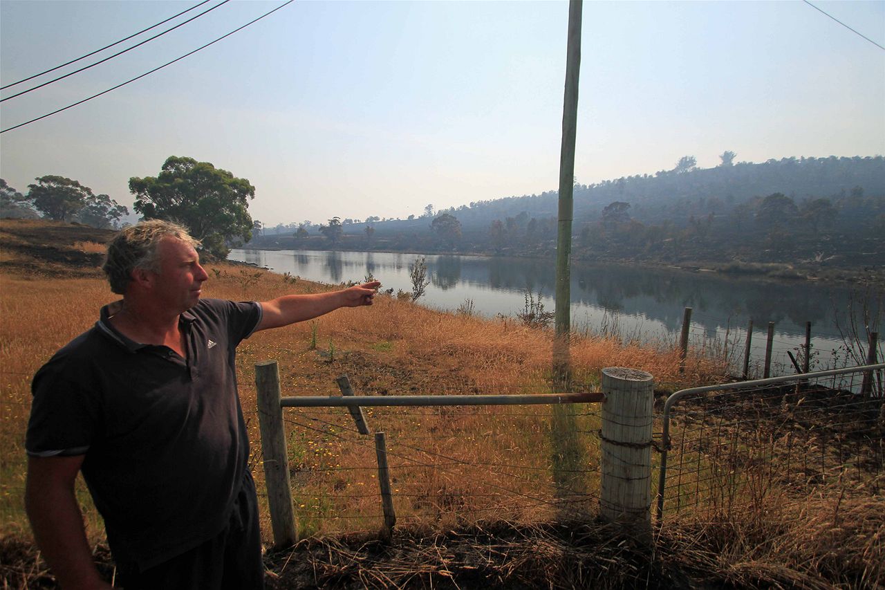 Stock, crops and fencing lost amidst fierce Tassie fires - ABC News