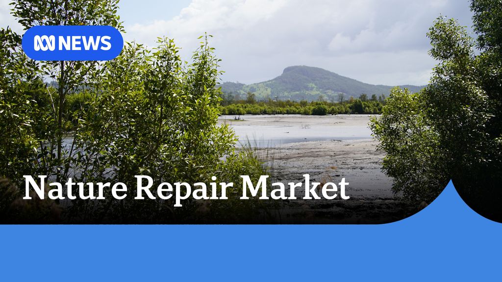 How will the new nature repair market work? - ABC News