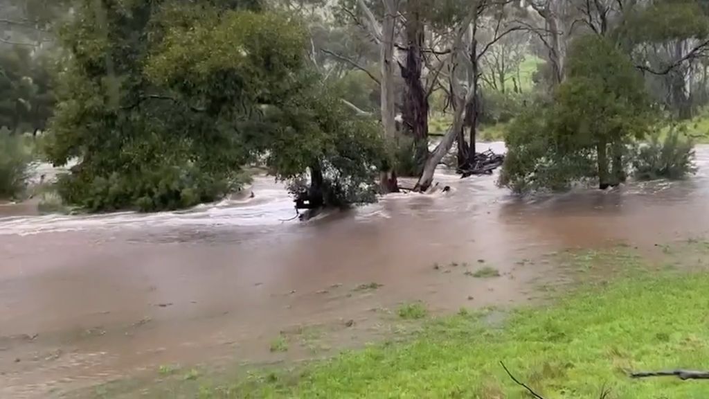 Loddon River in flood near Glenlyon - ABC News