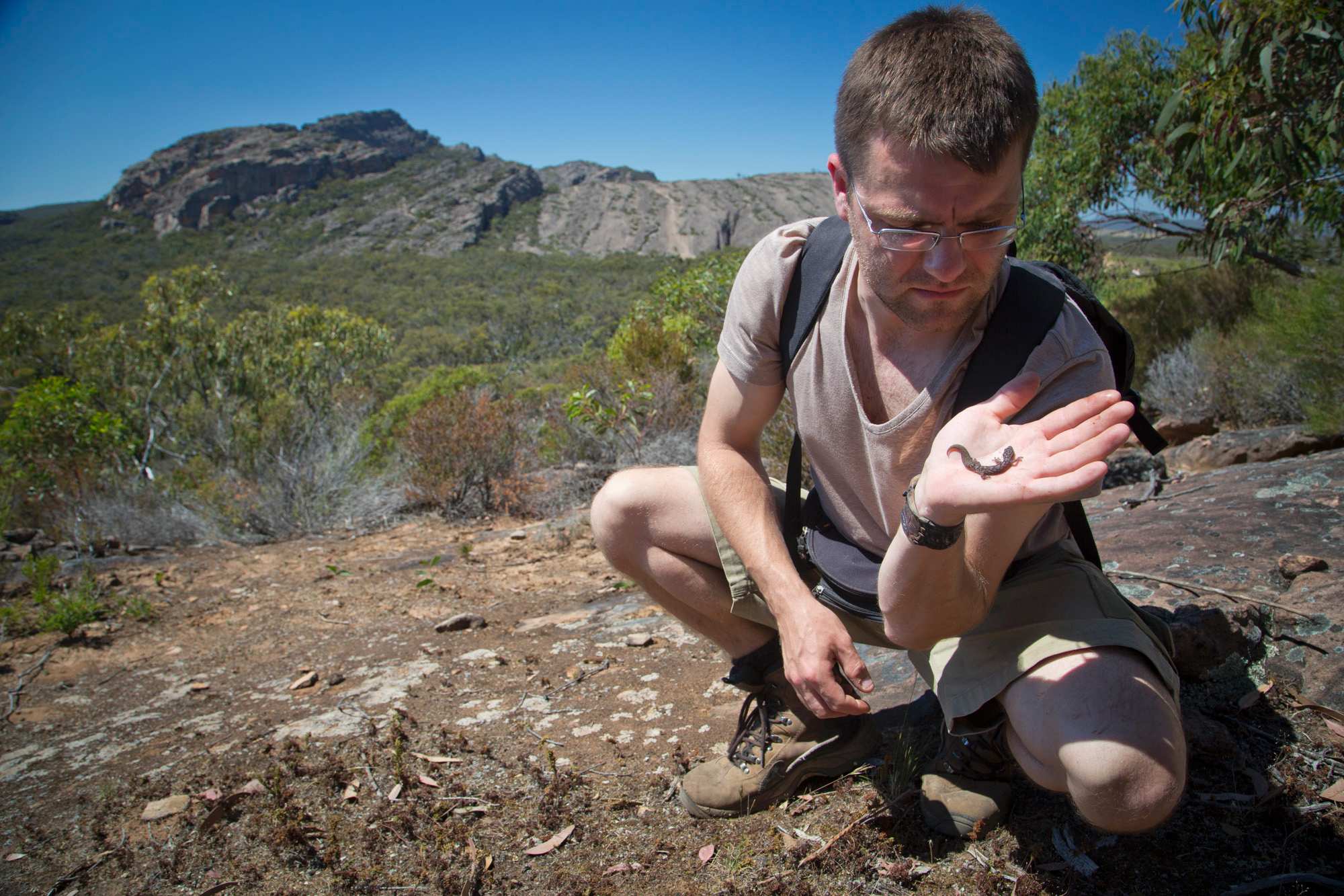 Bush blitz reveals state of critically endangered wildlife - ABC listen