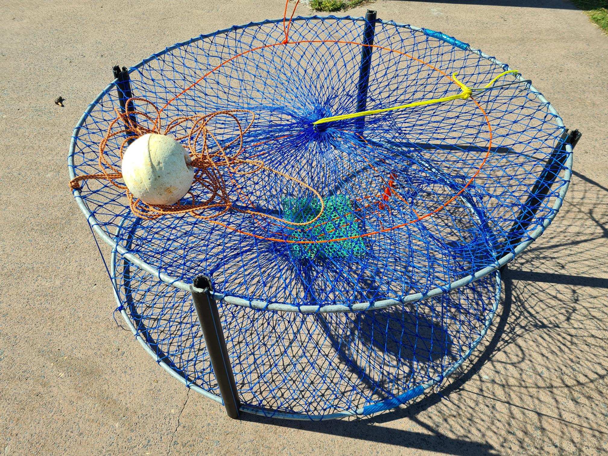 Crab traps now permitted in Lake Macquarie as part of new trial - ABC ...