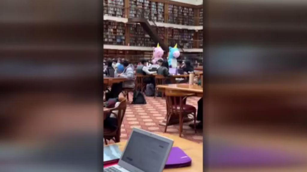 'Study unicorns' bring joy to stressed students - ABC News