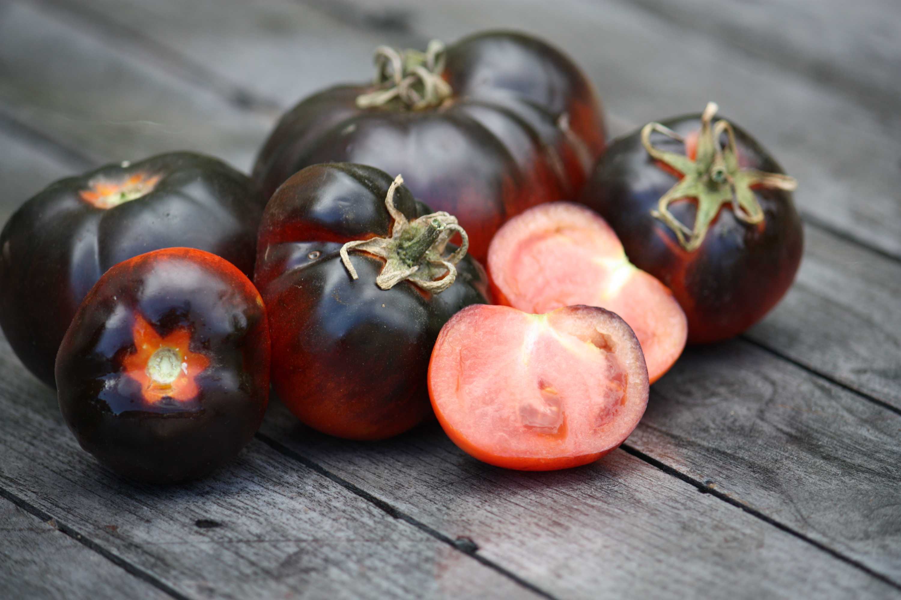 Australia's growing appetite for rare tomatoes - ABC Radio National