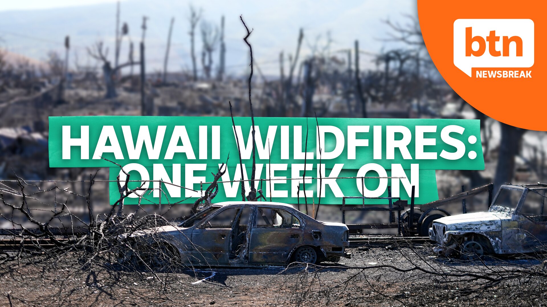 Maui Kids After Wildfires - Behind The News