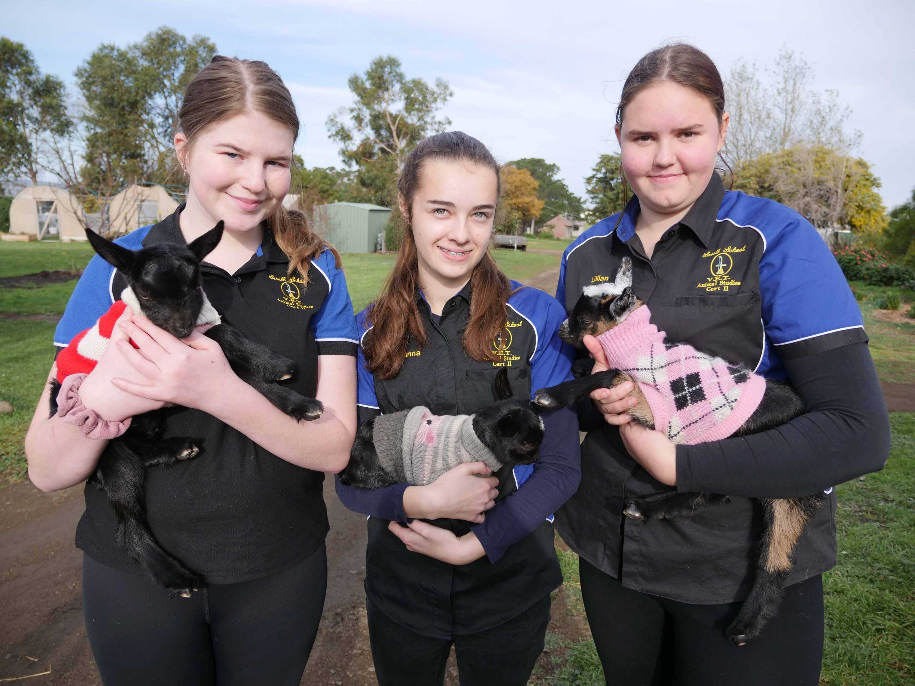 Sorell in Tasmania is 200 years old, now the once-tiny town wants to be ...