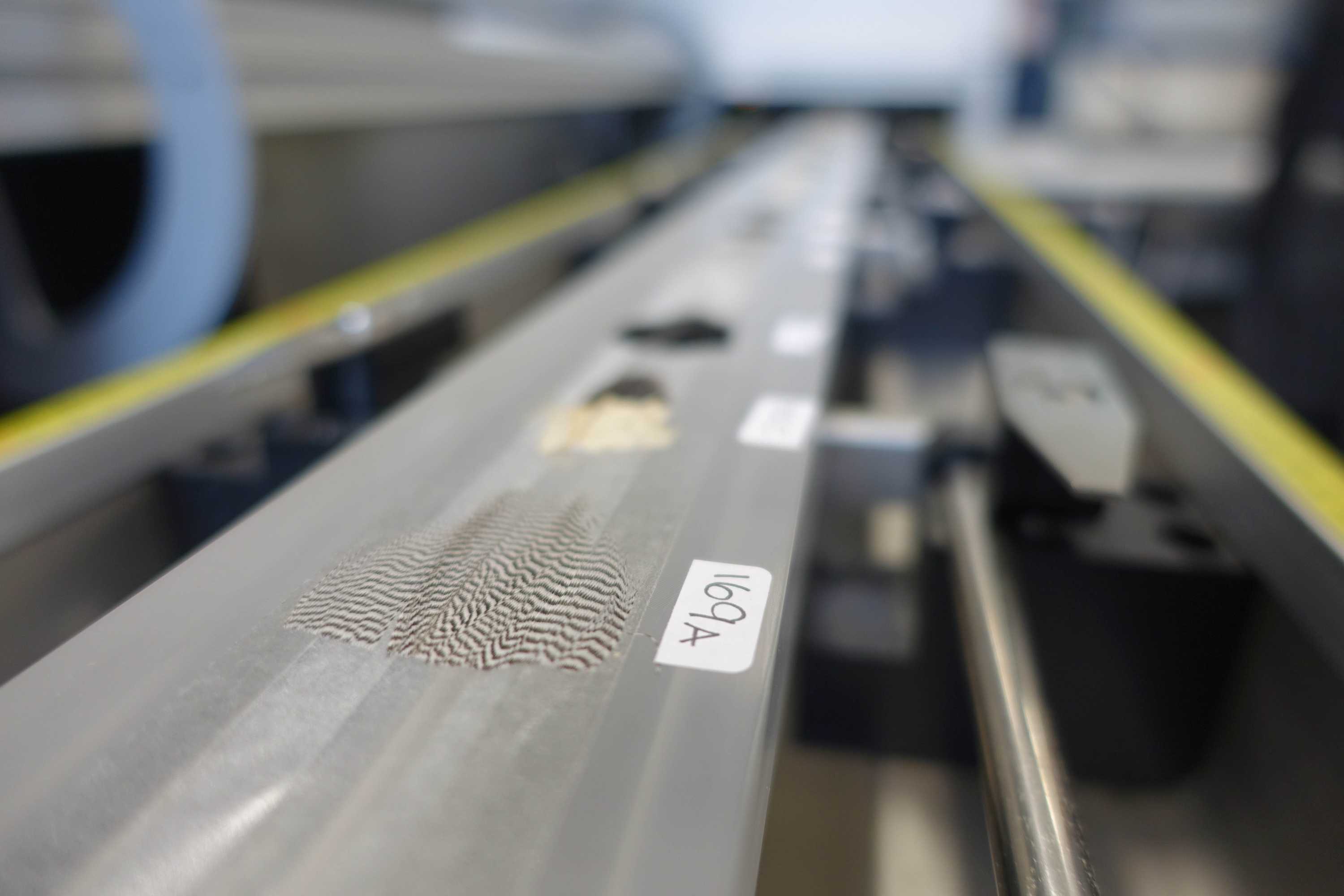 Nuclear physics uses single feather to track and help save Australian ...