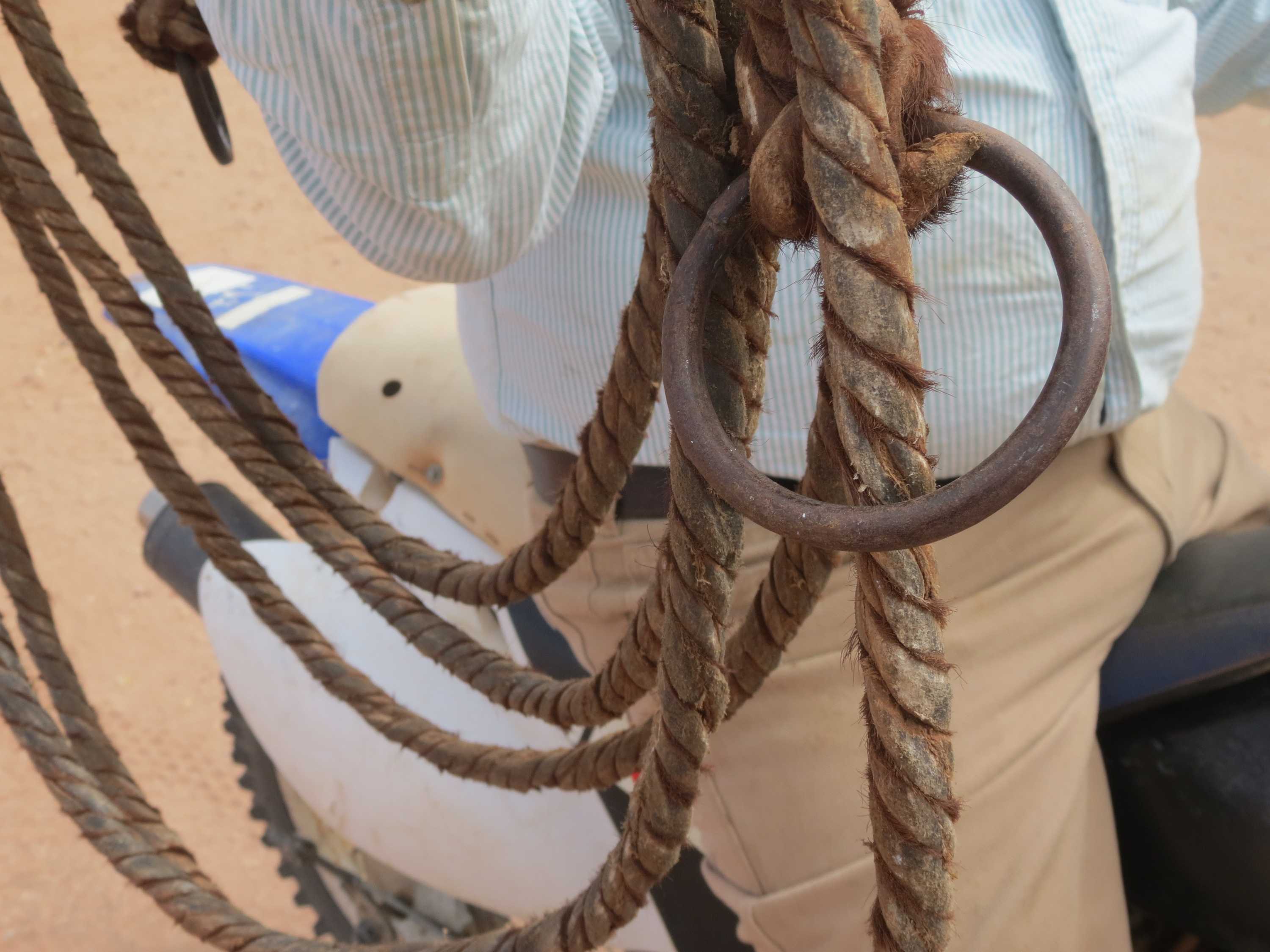 National Bronco Branding Championships keeping outback tradition alive ...