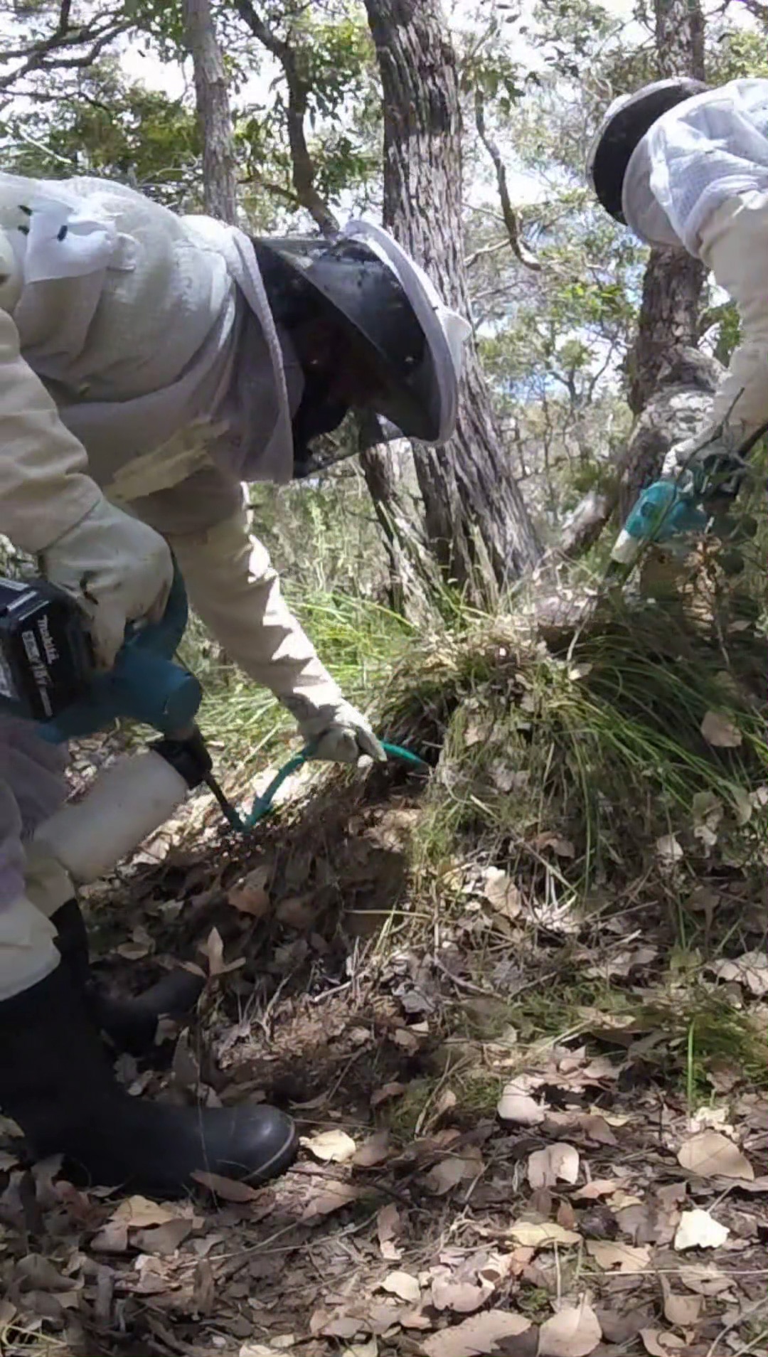 Thursday finance with David Chau - ABC News