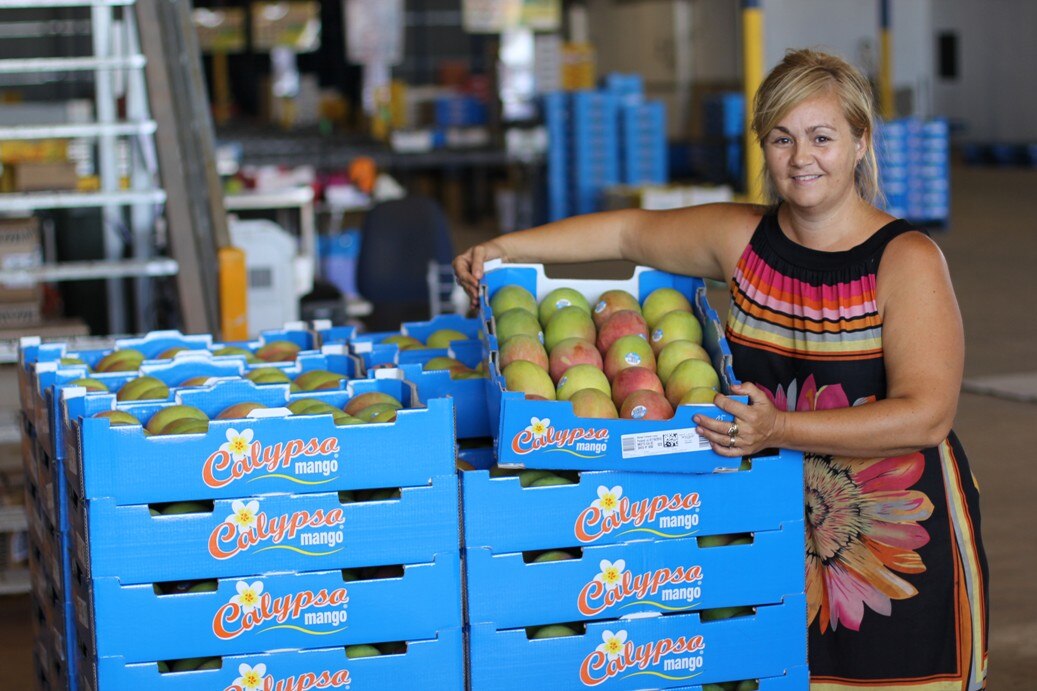 Calypso mango marketing rights and 140,000 trees bought by Katherine ...