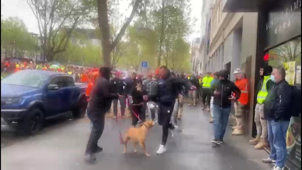Man kicks dog during anti-vaccine mandate protest in Melbourne - ABC News