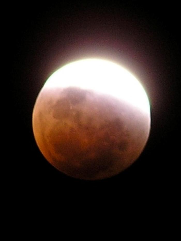 Blood moon on the rise - ABC News