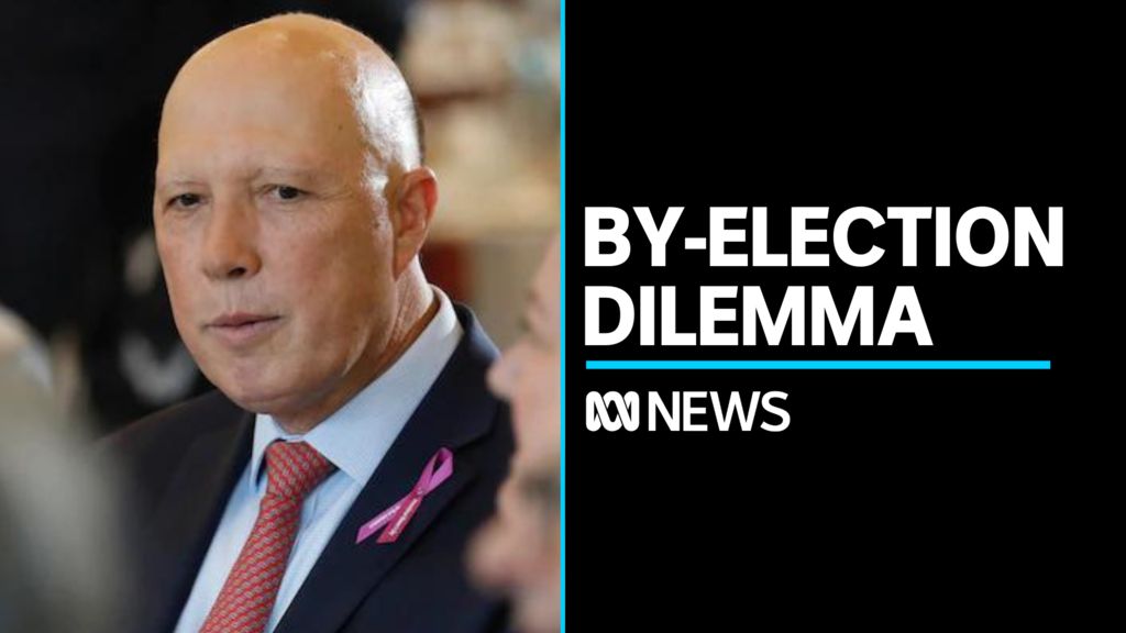 By-election to pose a 'difficult situation' for Peter Dutton - ABC News