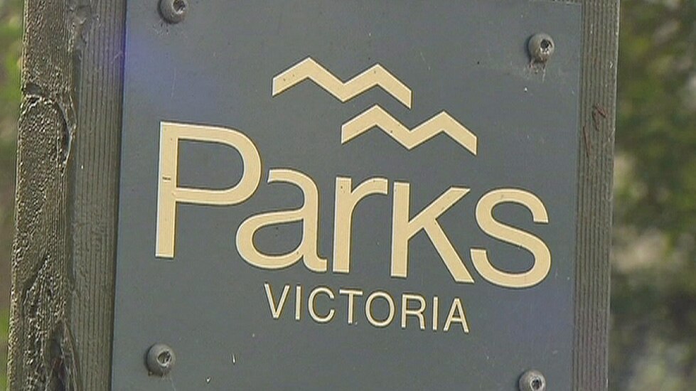 Chopper goat cull hailed as a success - ABC News