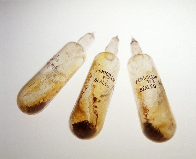 Doctors urge patients to investigate penicillin allergies as research ...