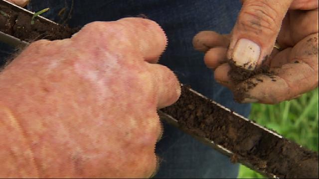 Landline: Organic farming success - ABC Education