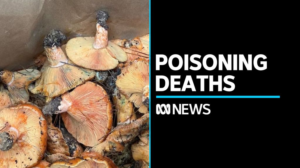 Investigations underway following deaths from mushroom poisoning - ABC News