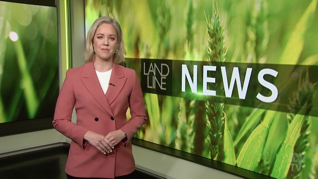 News: Rural and regional issues making the news - ABC News