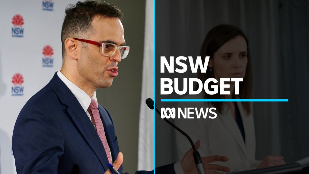 NSW Treasurer speaks with Jeremy Fernandez after delivering his first ...